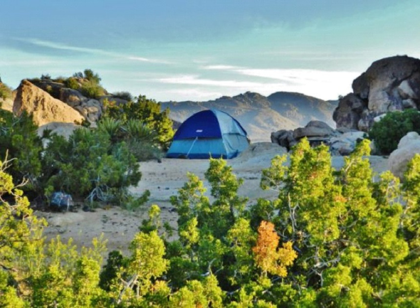 DGM News - 5 Amazing Reasons to Have Joshua Tree Camping